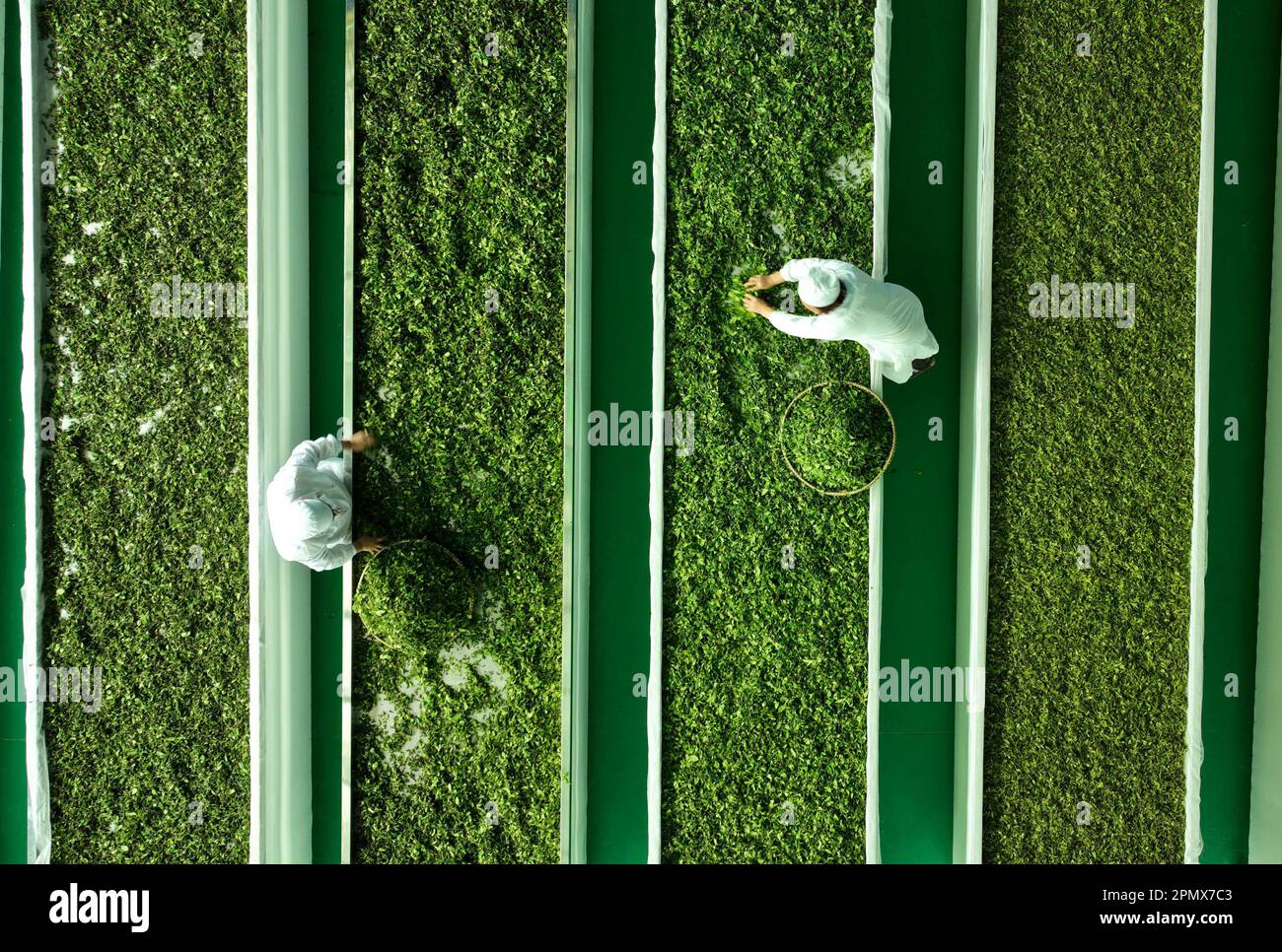 Kaiyang. 15th Apr, 2023. This aerial photo taken on April 15, 2023 ...