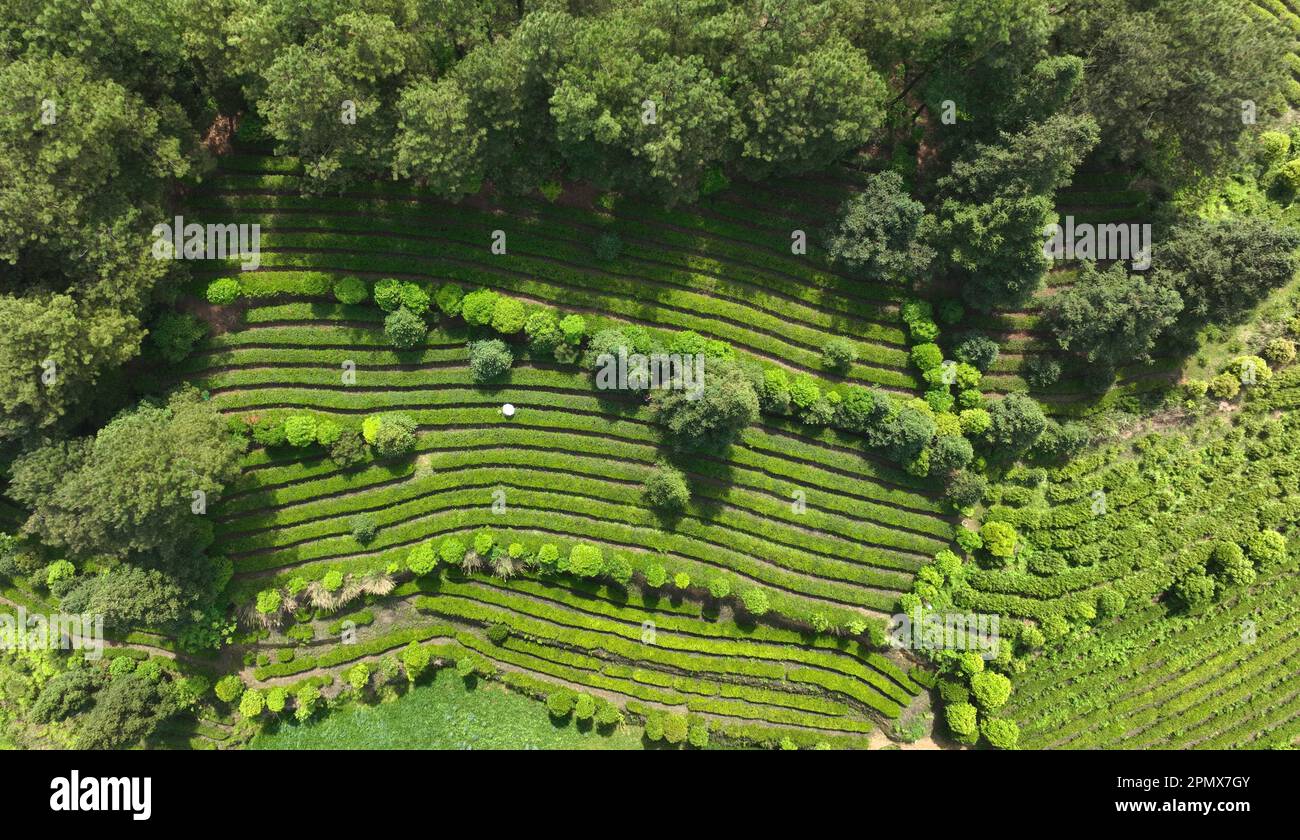 Kaiyang. 15th Apr, 2023. This aerial photo taken on April 15, 2023 ...