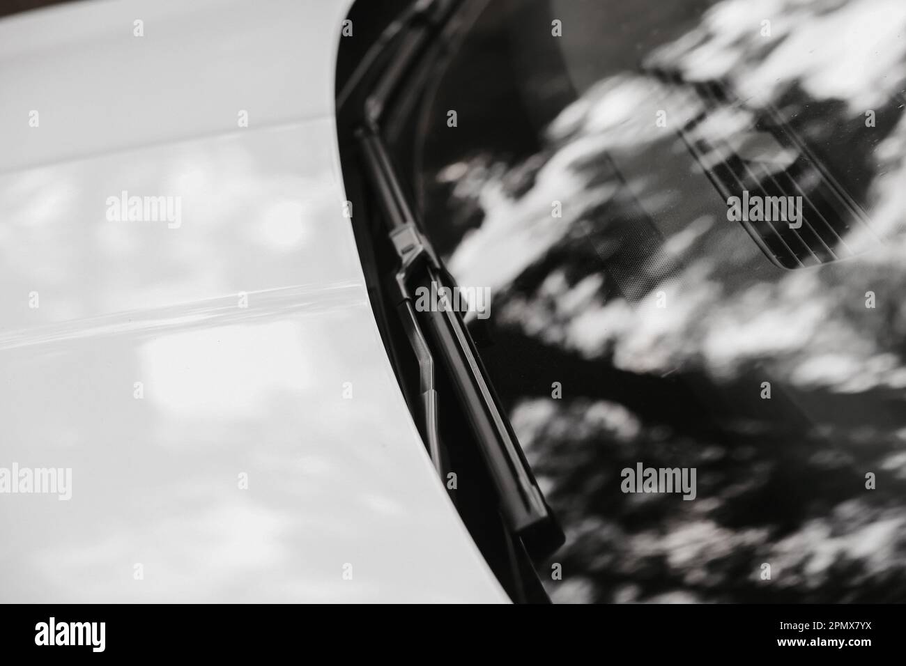 Close up of front view of clean modern white car windshield with nature ...