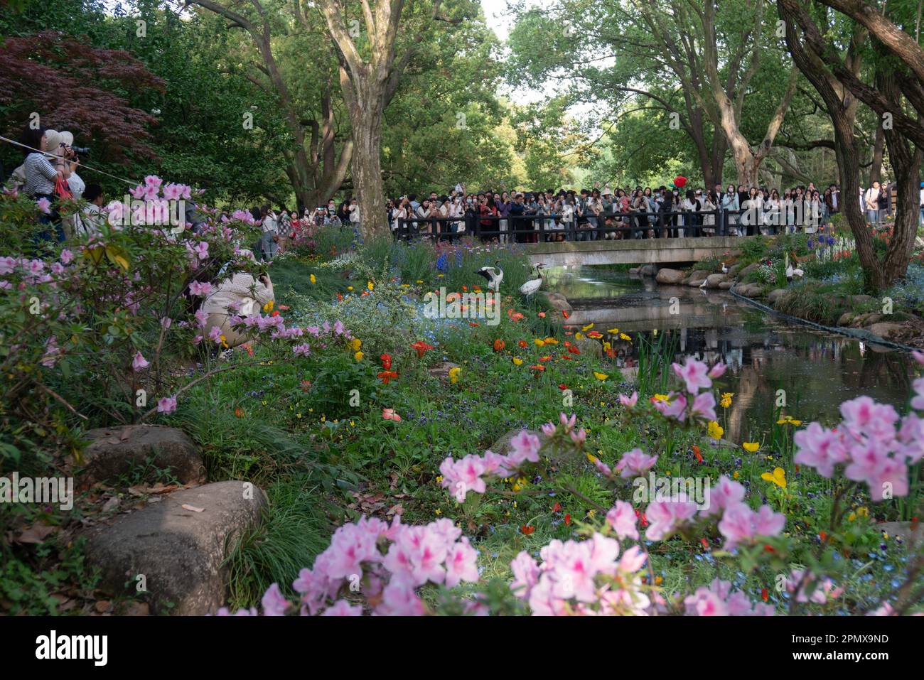 SHANGHAI, CHINA - APRIL 15, 2023 - Visitors enjoy the Claude Monet ...