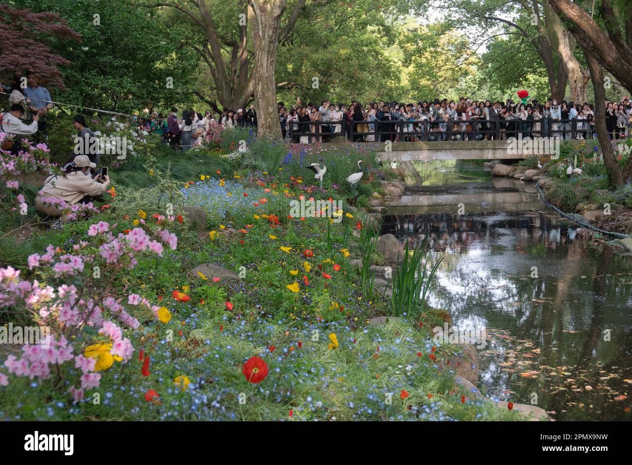 SHANGHAI, CHINA - APRIL 15, 2023 - Visitors enjoy the Claude Monet ...