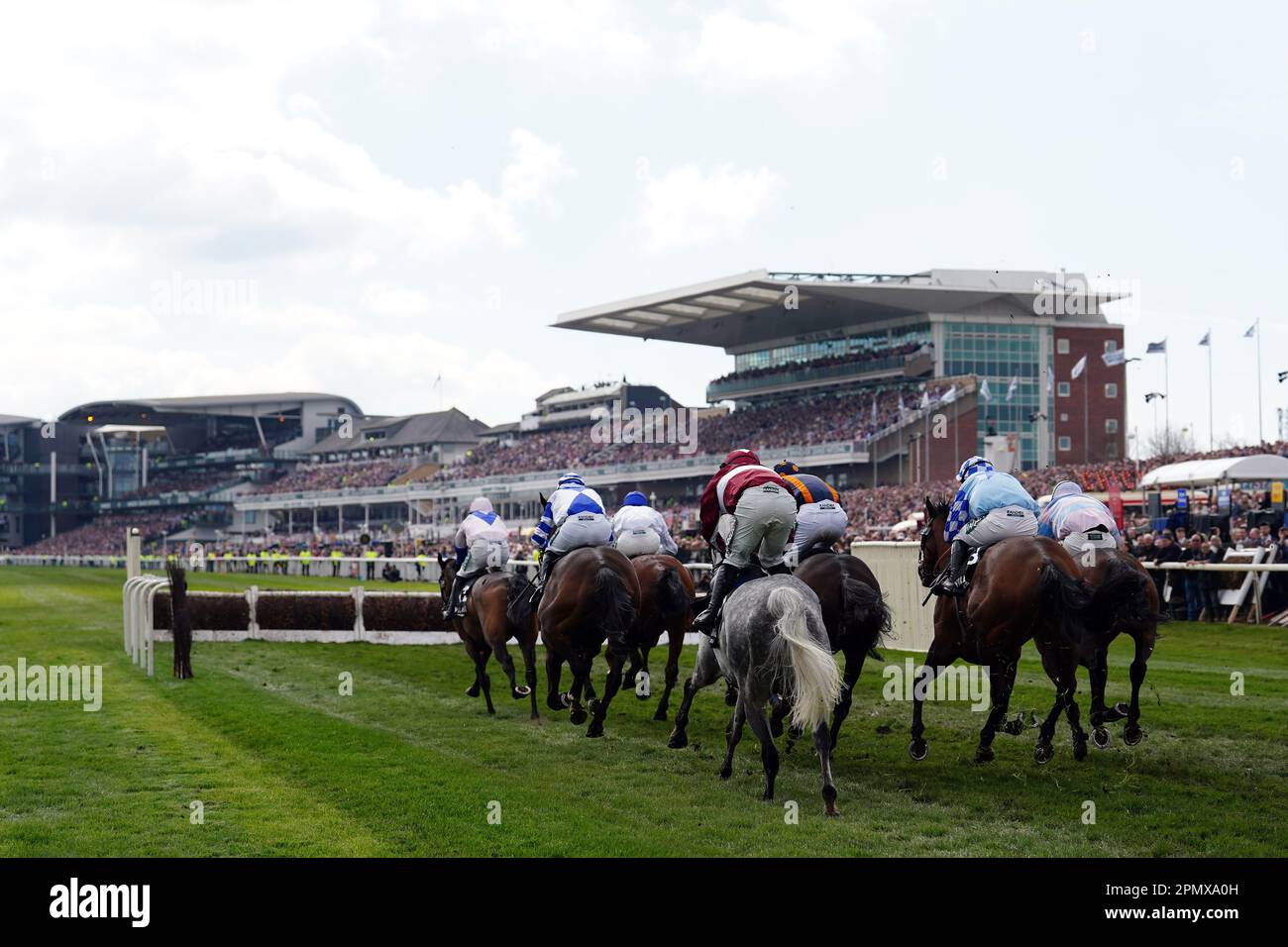 Aintree pabest hi-res stock photography and images - Alamy