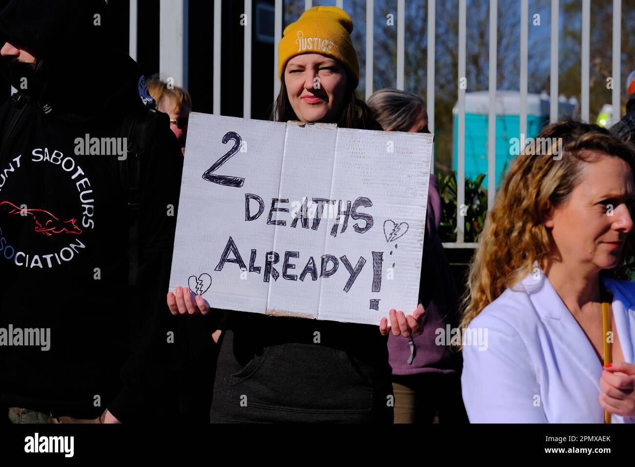 Animal rising aintree hi-res stock photography and images - Alamy