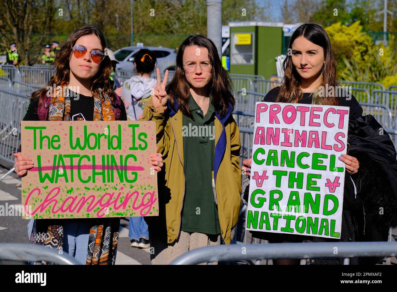 Animal rising aintree hi-res stock photography and images - Alamy