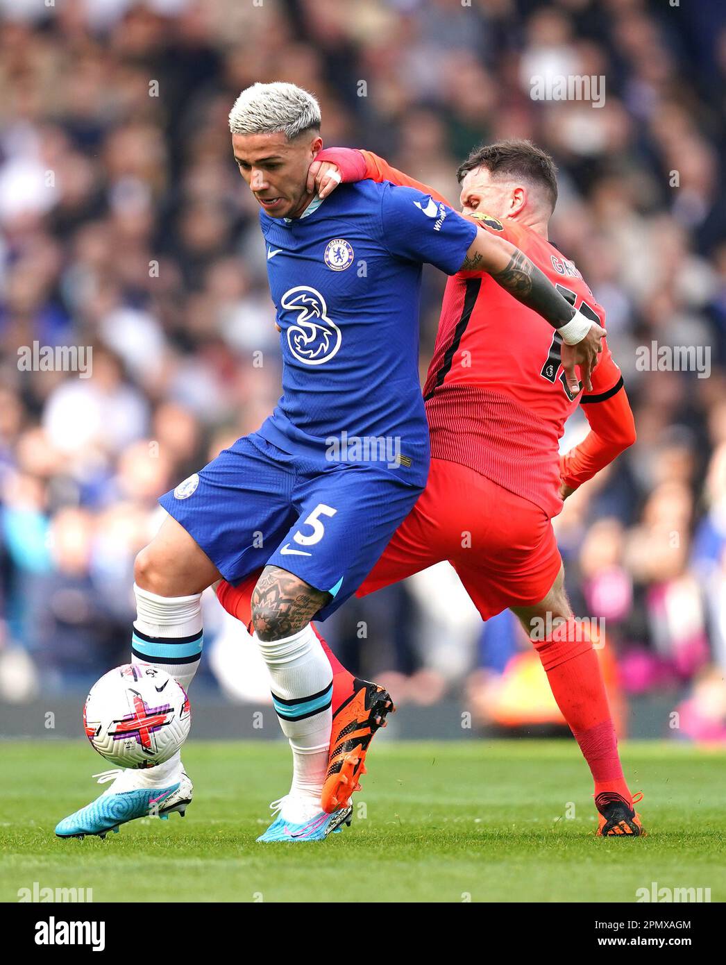 Chelsea's Enzo Fernandez (left) and Brighton and Hove Albion's Pascal ...