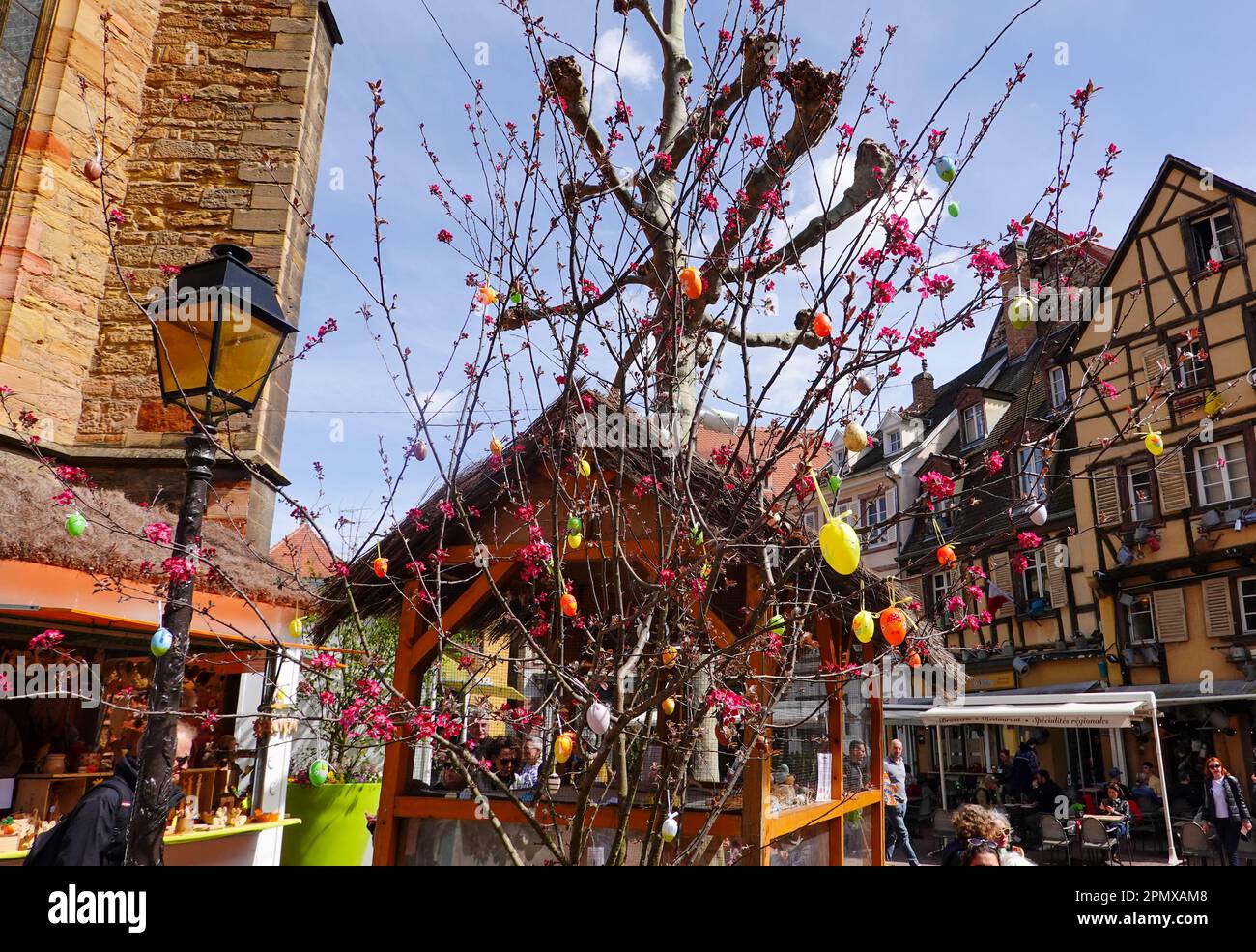 Budding tree decorated with Easter eggs signifies new life during the ...