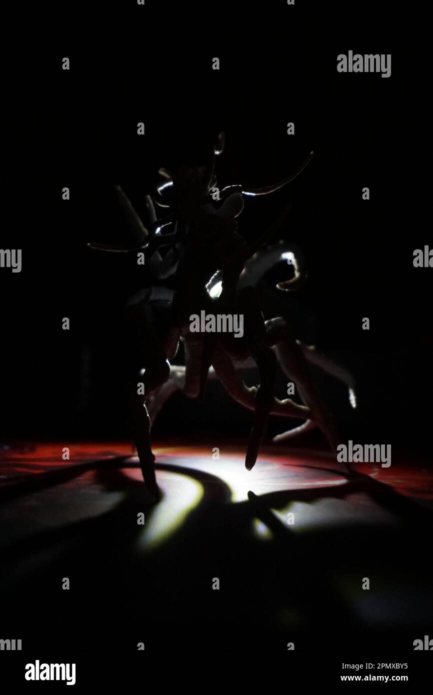 Nemesis board game hi-res stock photography and images - Alamy