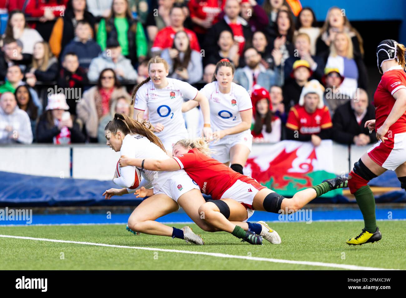 Holly aitchison try hi-res stock photography and images - Alamy