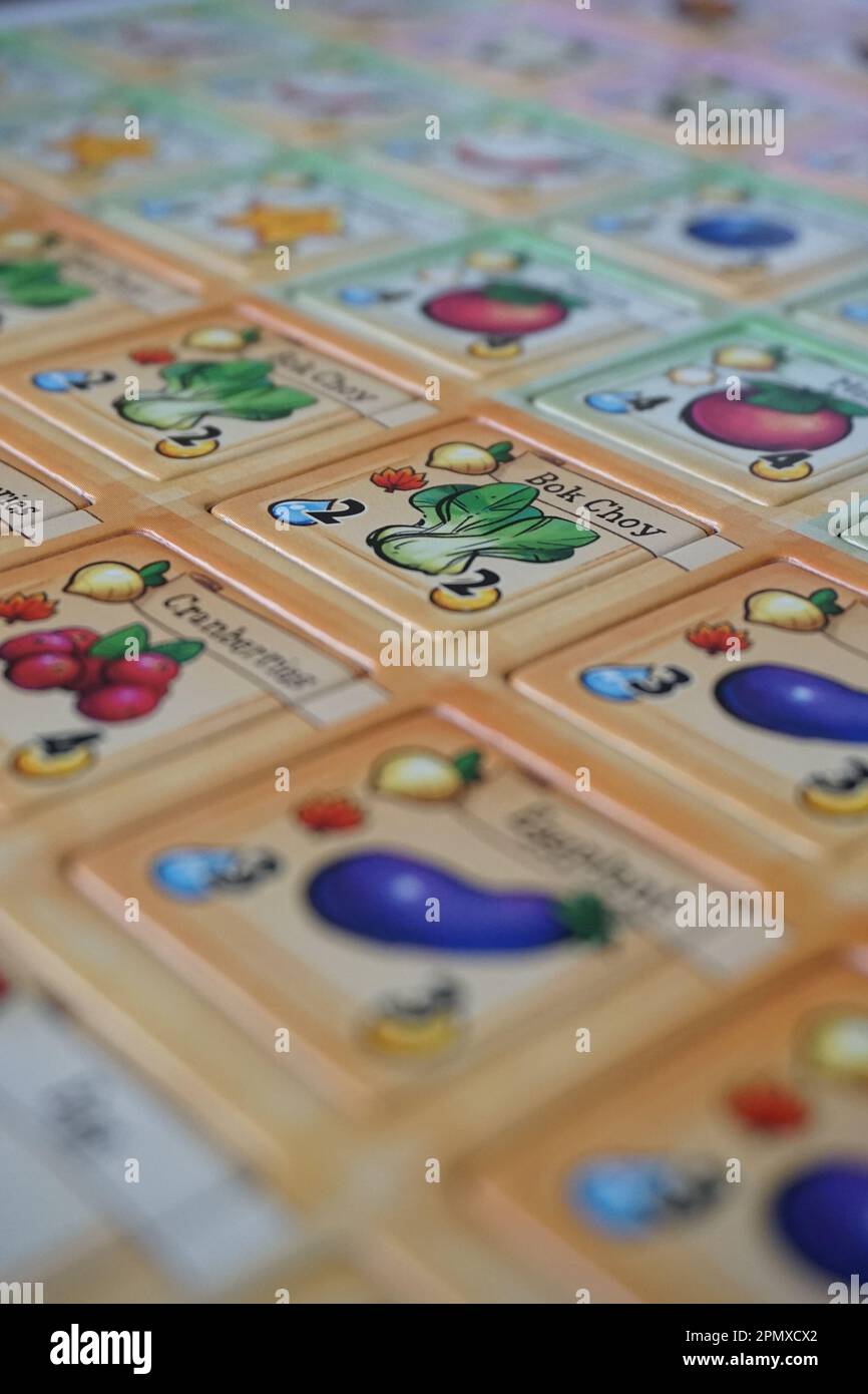 Pieces and cardboard tokens from Stardew Valley the board game Stock ...