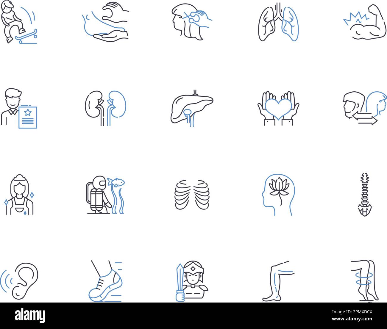 Human body outline icons collection. Anatomy, Organ, Skeleton, Muscle ...