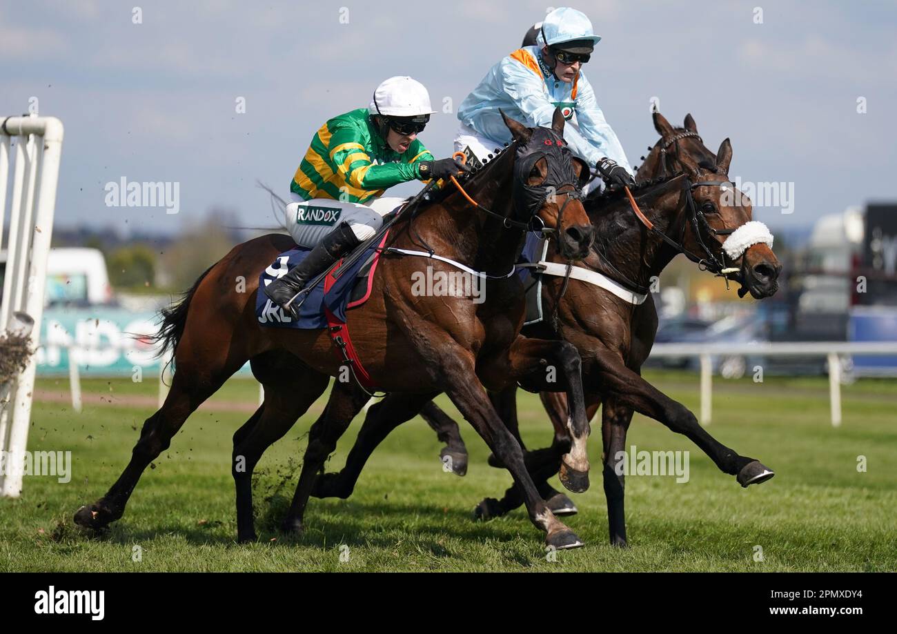 Sire du berlais horse hi-res stock photography and images - Alamy