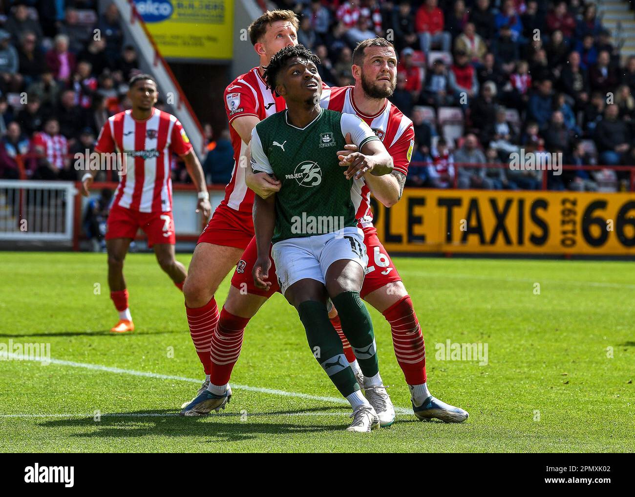 Niall Ennis #11 of Plymouth Argyle battles of the ball with Pierce ...