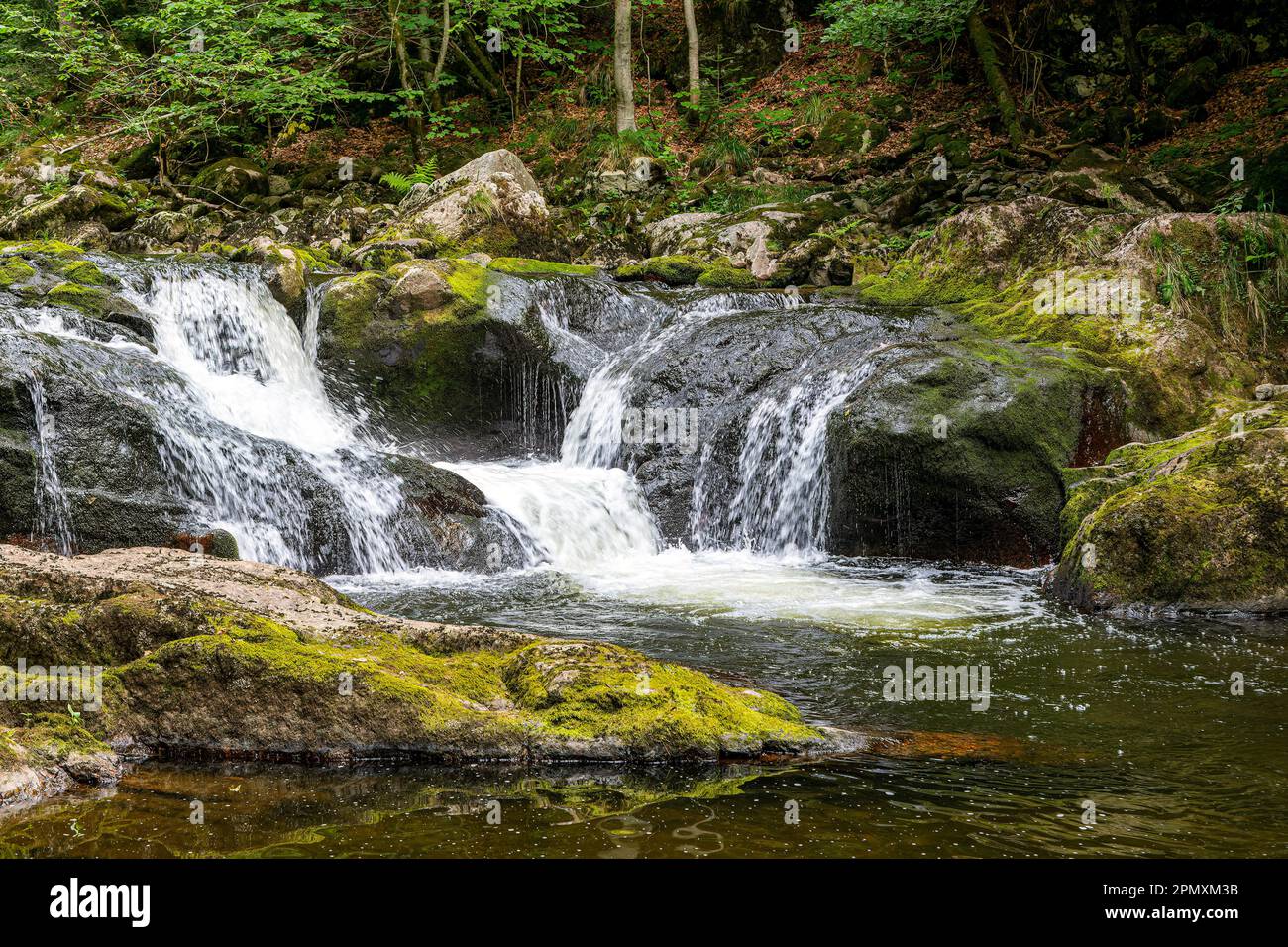Clear water flows over mossy rocks Stock Photo - Alamy