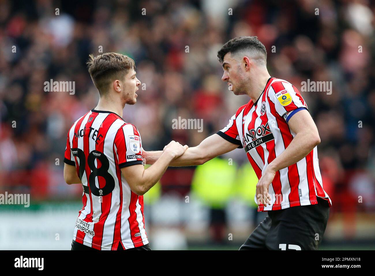 James McAtee #28 of Sheffield United and John Egan #12 of Sheffield ...