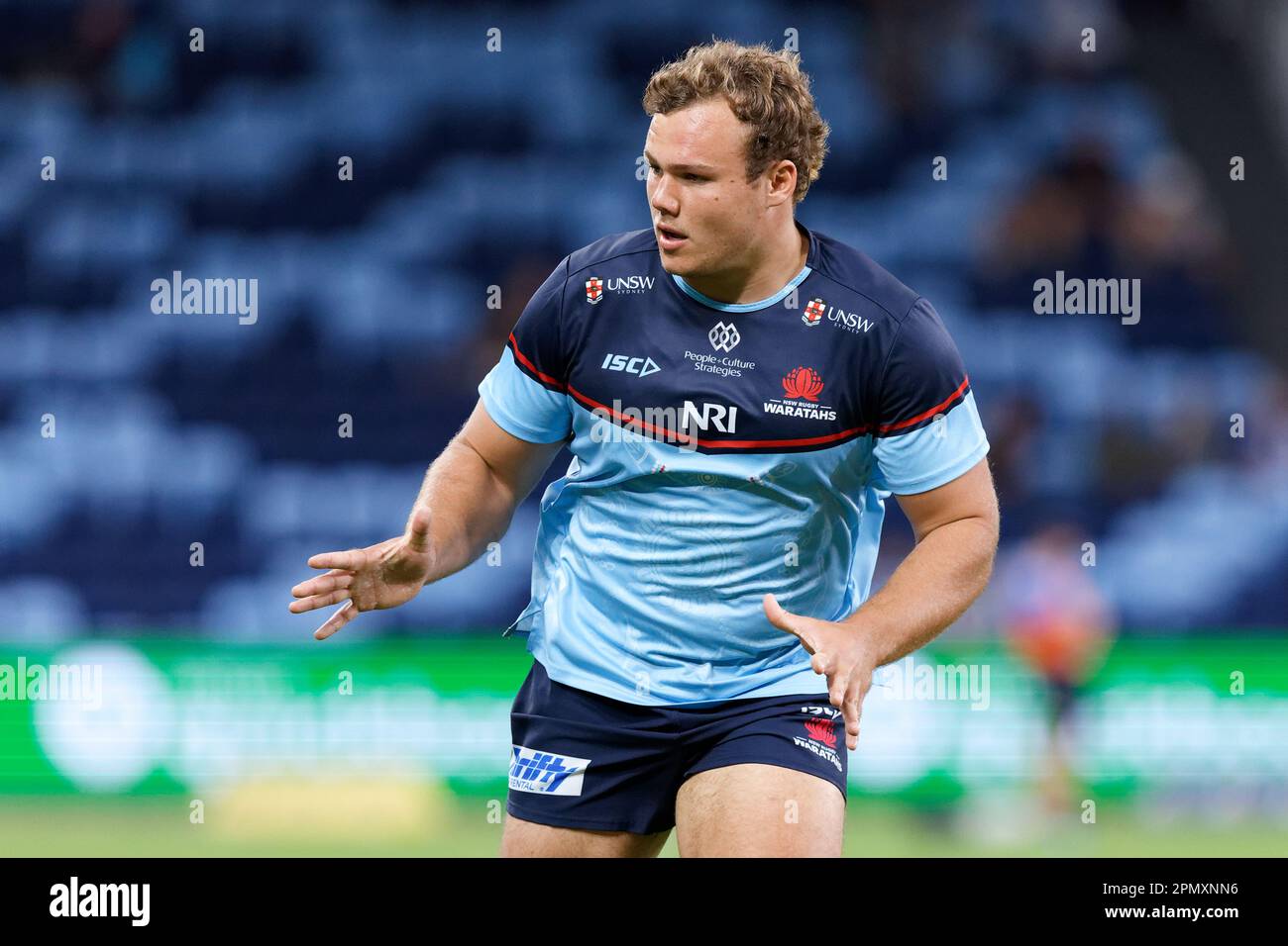 Perth western force rugby hi-res stock photography and images - Alamy
