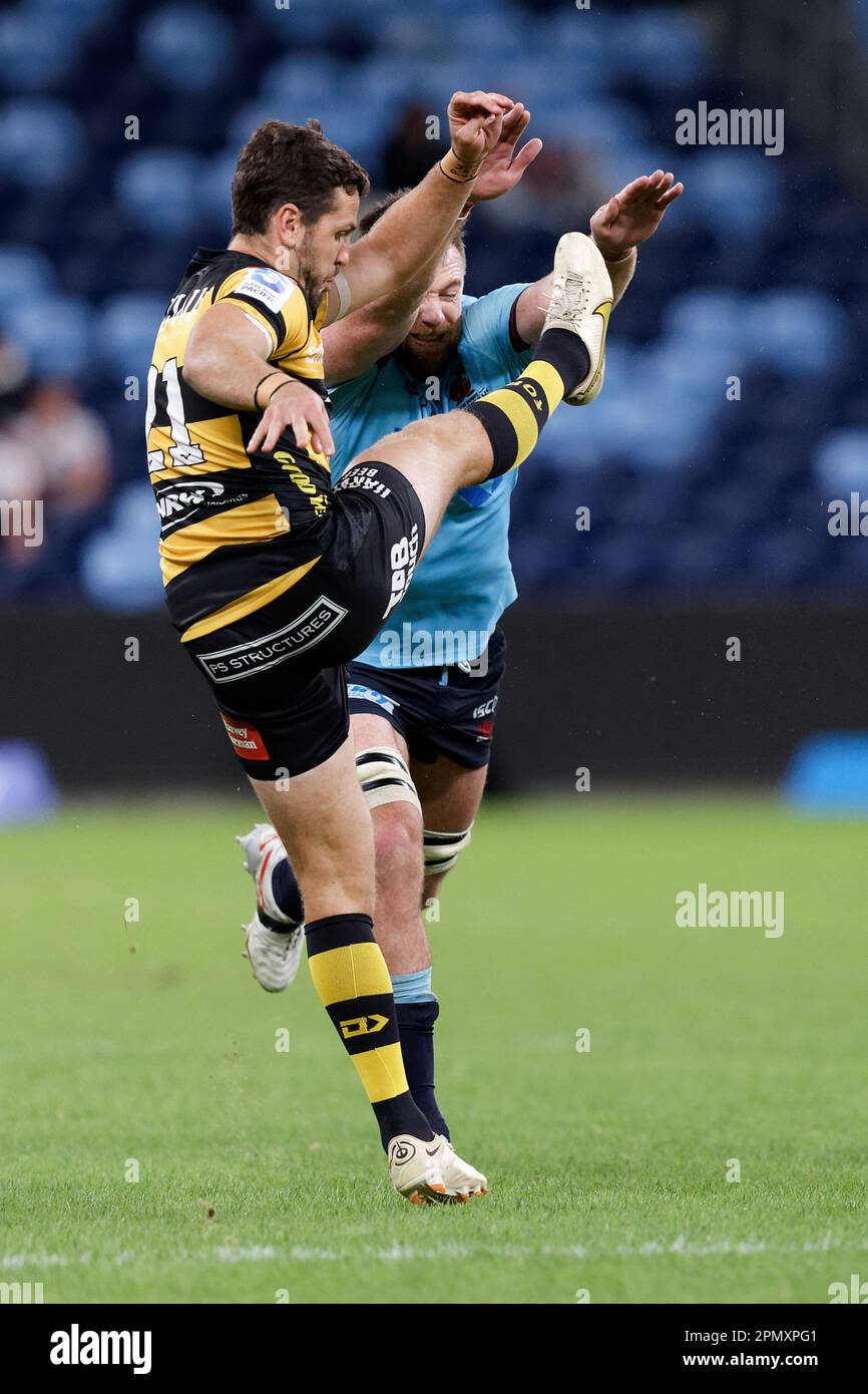 Jed Holloway of the Waratahs attempts to block the kick from Ian Prior ...