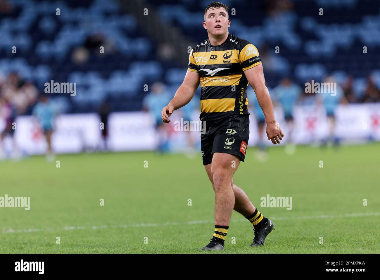 Sam Spink of the Force looks on during the Super Rugby Pacific match ...