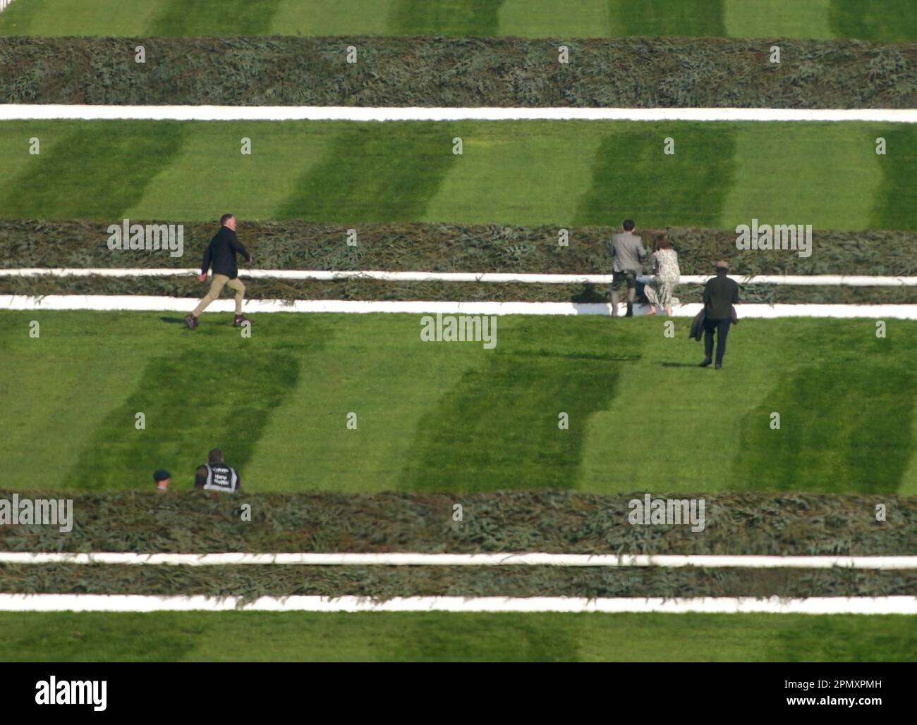 Animal rising aintree hi-res stock photography and images - Alamy