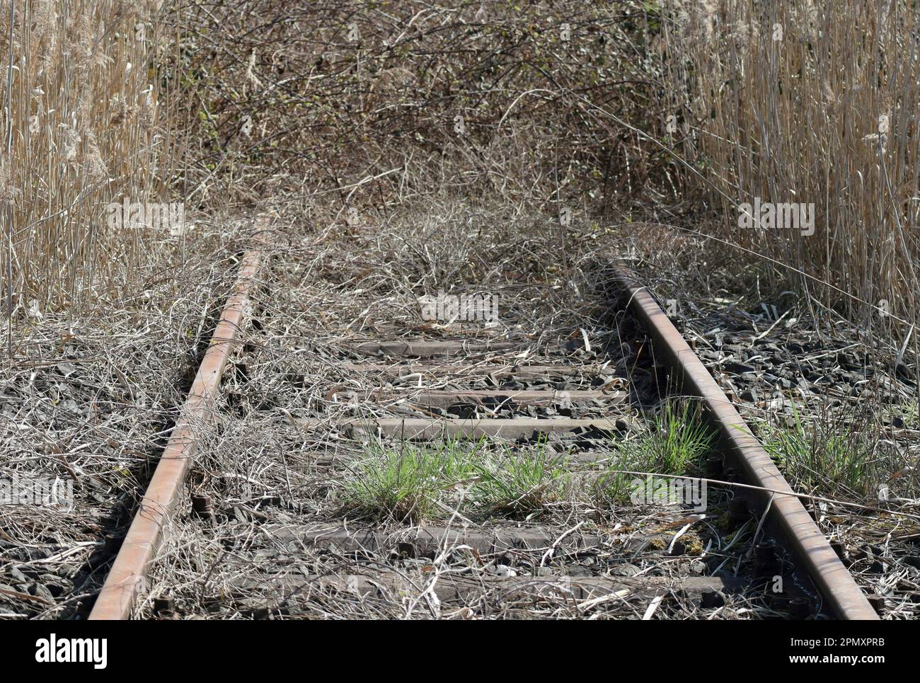 a few Tufts of Grass creep in on the disused Track Stock Photo - Alamy