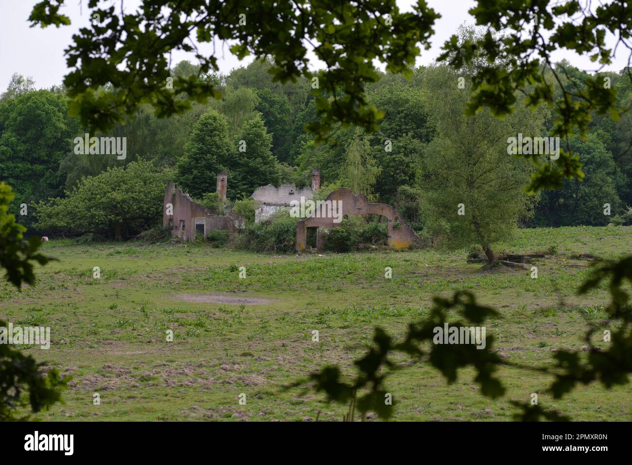 Overgrown farm ruin in natural landscape Stock Photo - Alamy