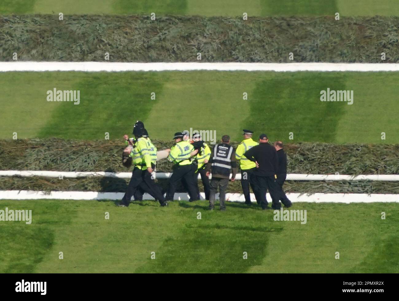 Animal rising aintree hi-res stock photography and images - Alamy