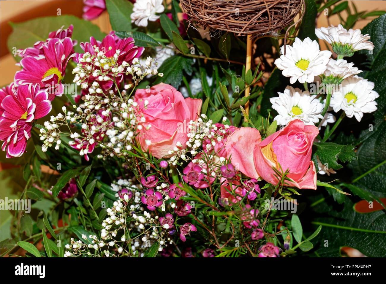 Babys breath beauty hi-res stock photography and images - Alamy