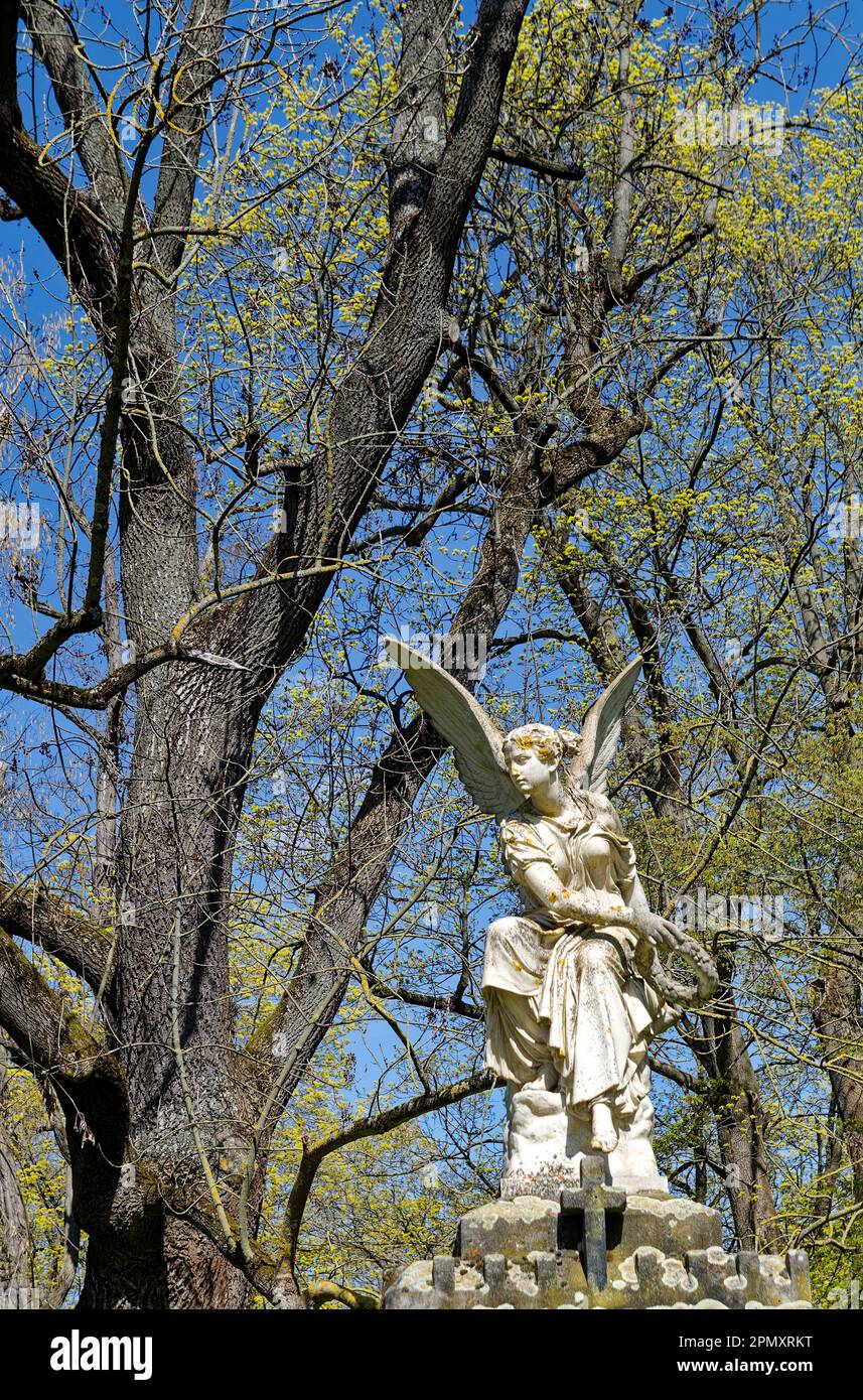 Stone white angel figure in front of trees in a park Stock Photo - Alamy