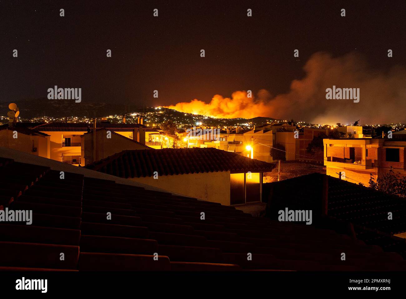 Forest Fire at Night.Wildfire burning forest trees in the mountain ...