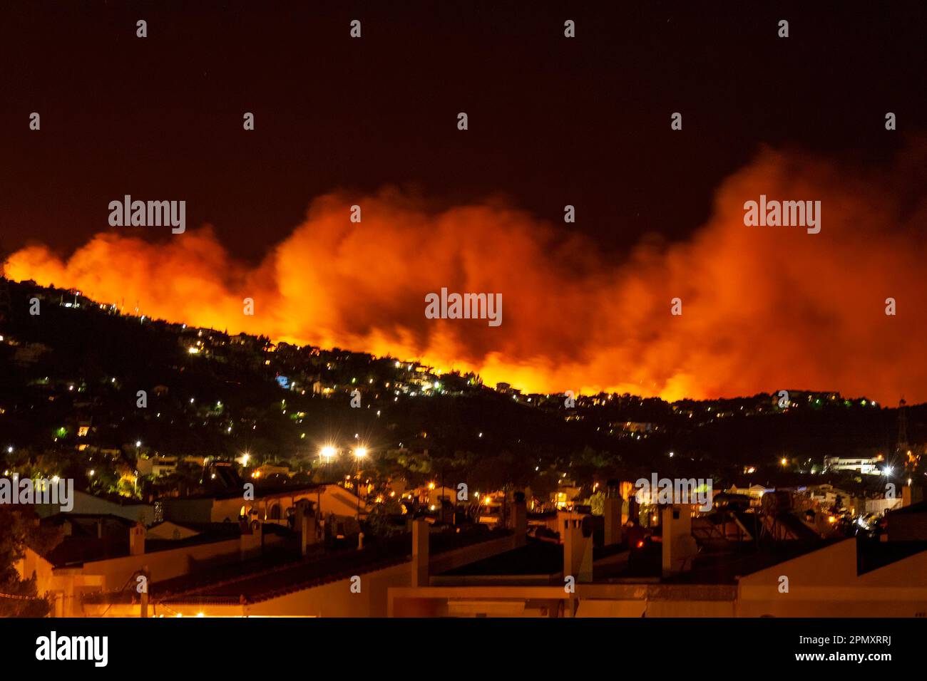 Forest Fire at Night.Wildfire burning forest trees in the mountain ...