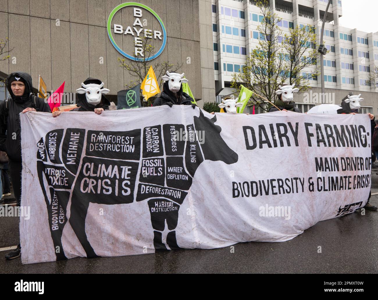 Animal induced climate change hi-res stock photography and images - Alamy