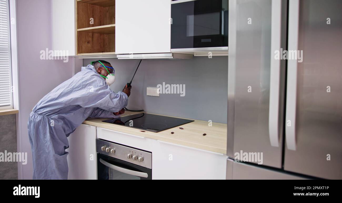 Man Showing At Pest Control Worker Spraying Insecticide On Shelf Of ...