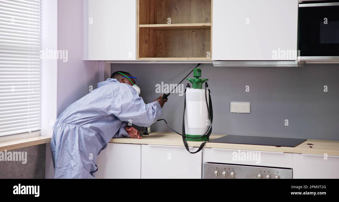 Men spraying pesticides on hi-res stock photography and images - Alamy