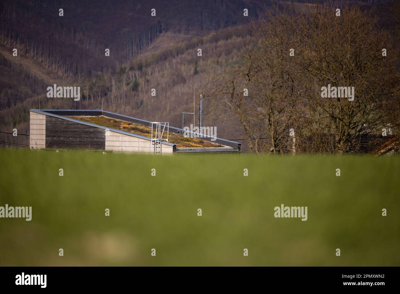 House with a roof insulated by green plants, nicely fitting into the ...