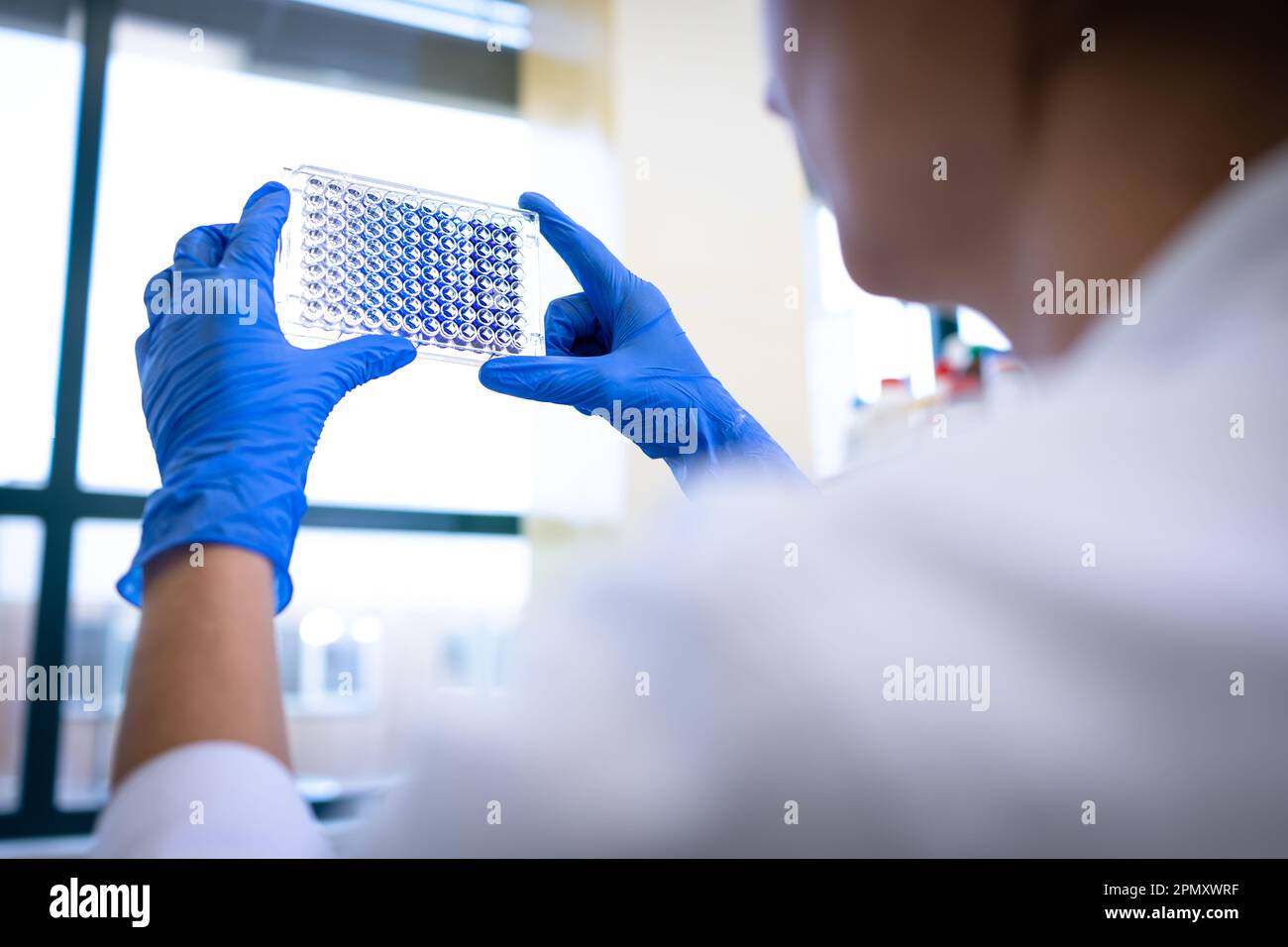 Female researcher carrying out research experiment in a chemistry lab ...