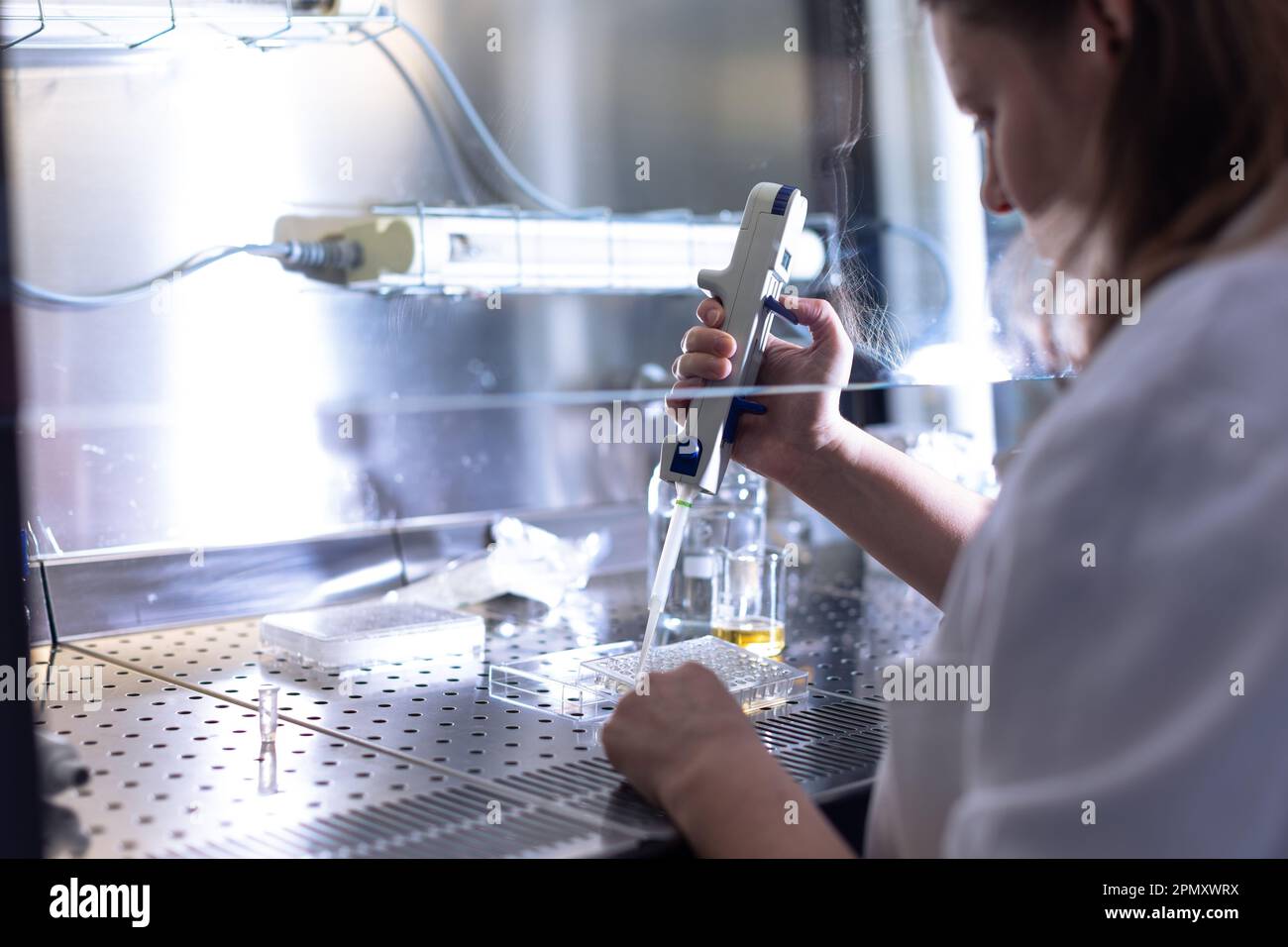 Female researcher carrying out research experiment in a chemistry lab ...