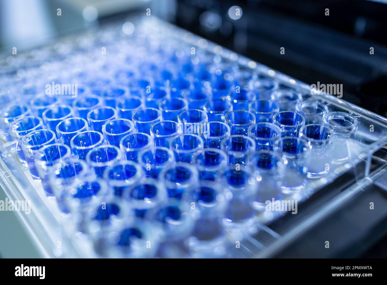 Female researcher carrying out research experiment in a chemistry lab ...
