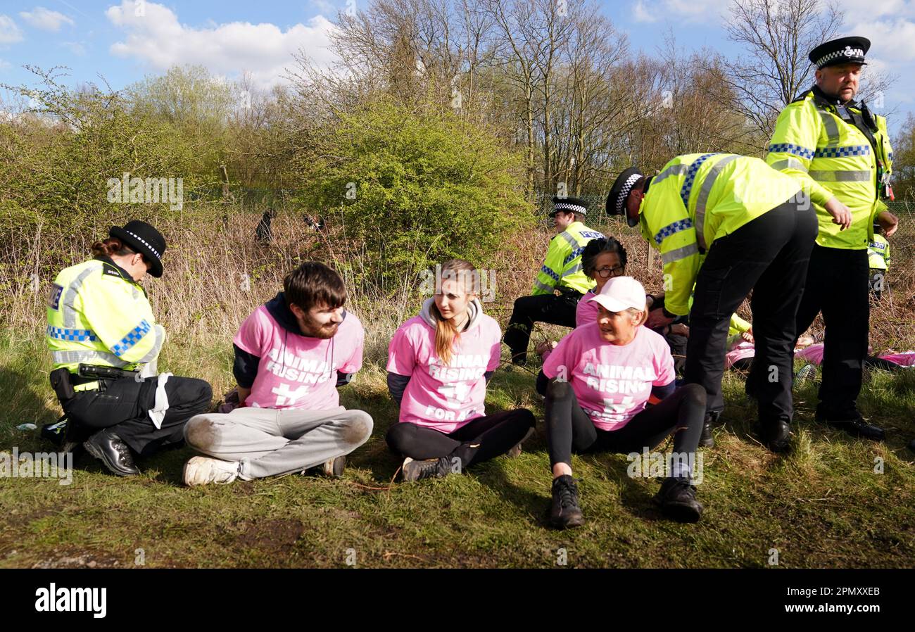 Protesters are detained by police during day three of the Randox Grand ...