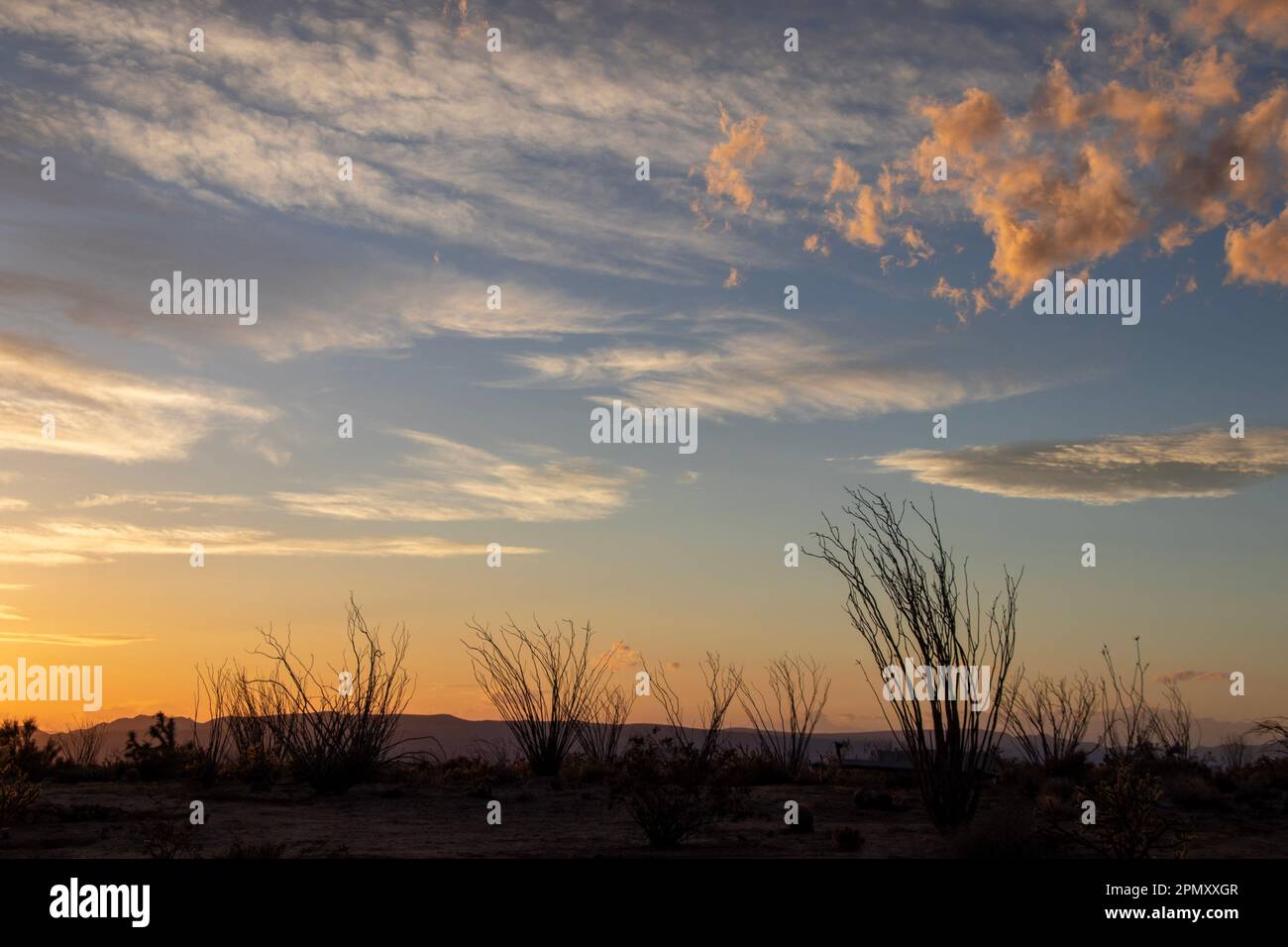 Arizona Desert Sunset Stock Photo - Alamy