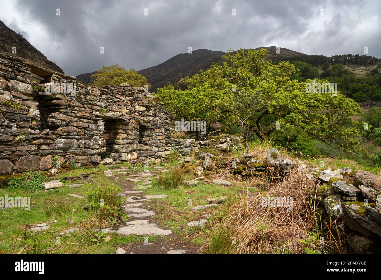 Old stone ruin beside the Watkin Path in Cwm Llan, Snowdonia national ...