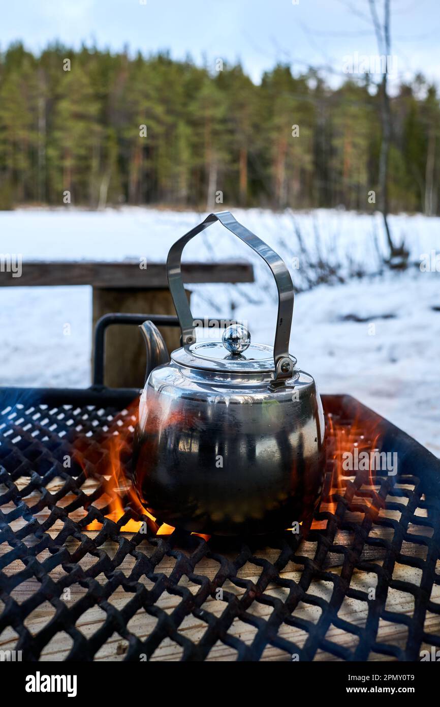Silver fire forest in hi-res stock photography and images - Alamy