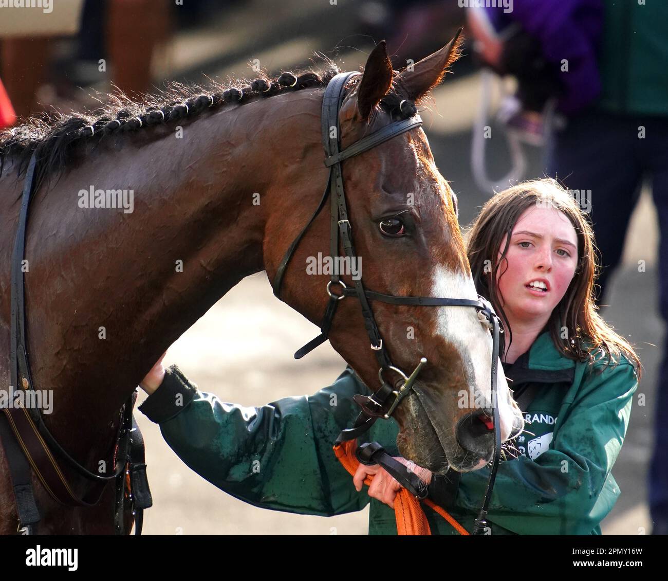 Corach Rambler and groom Lori Walsh after winning the Randox Grand ...