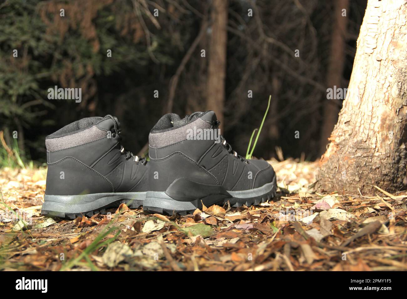 Black boots in the dark forest between trees ready for hiking in the ...