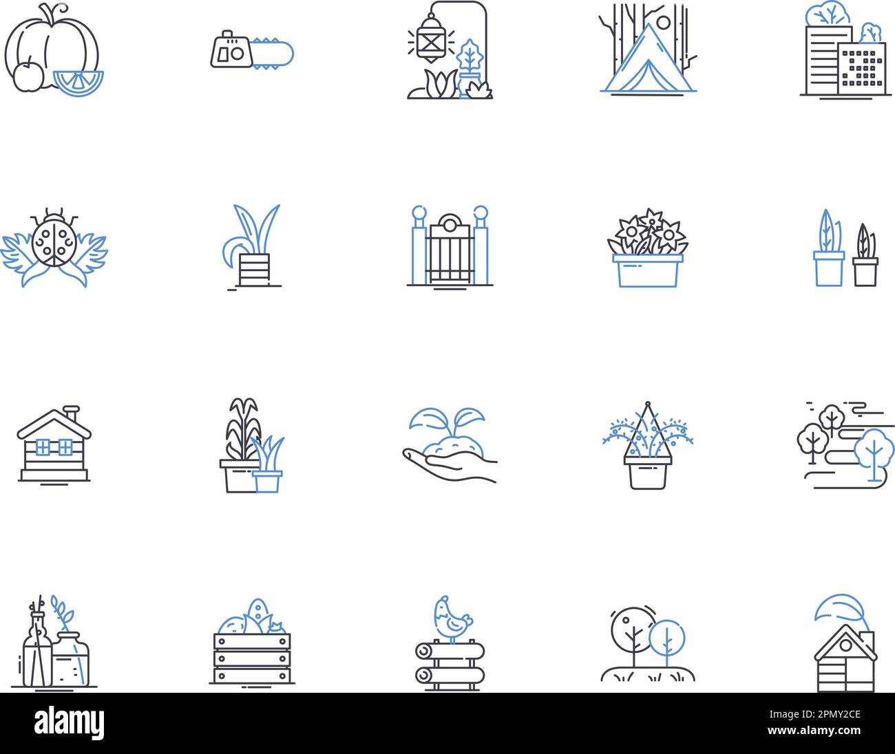 Vegetable Garden Outline