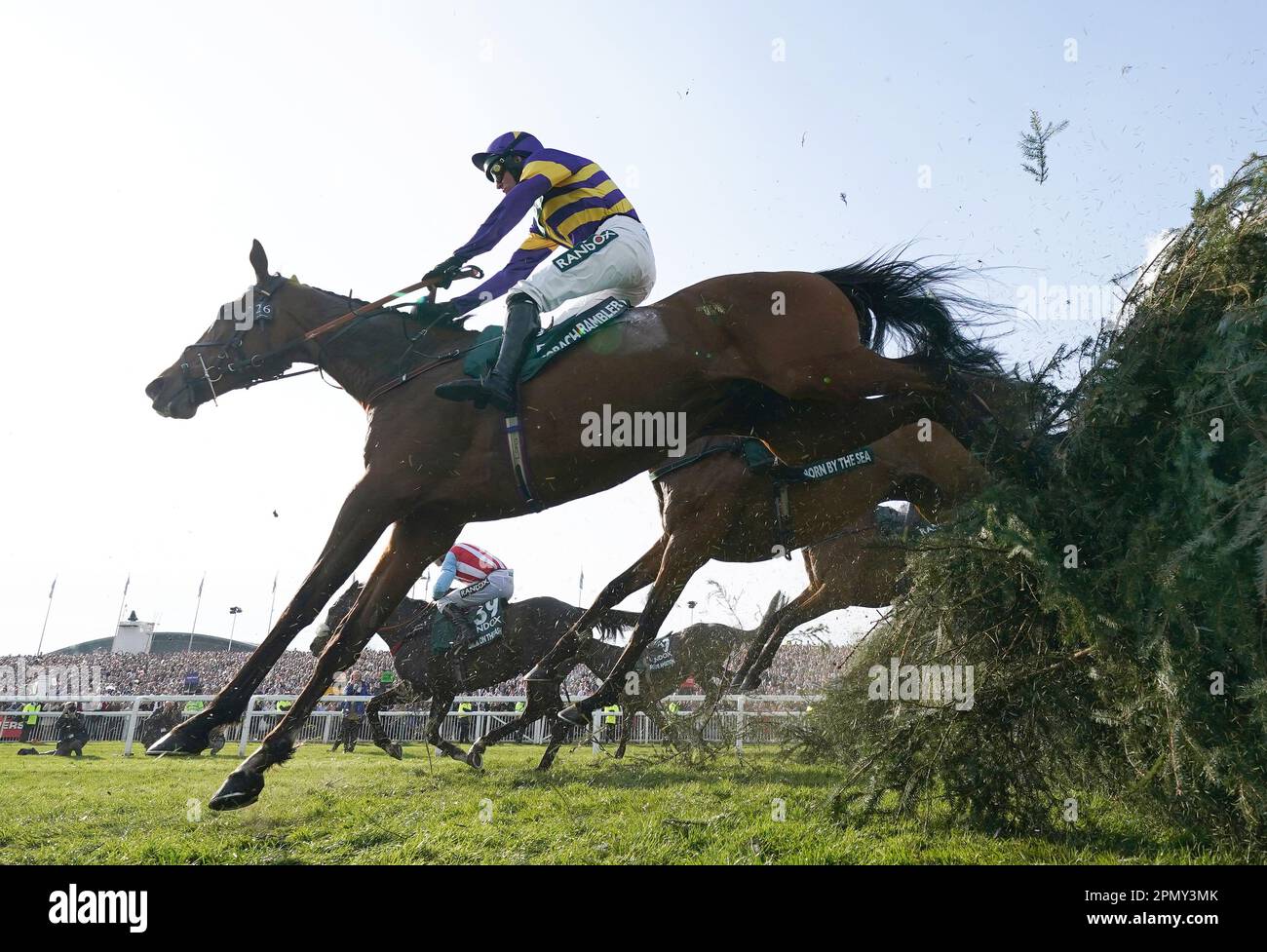 Corach rambler aintree racecourse hi-res stock photography and images ...