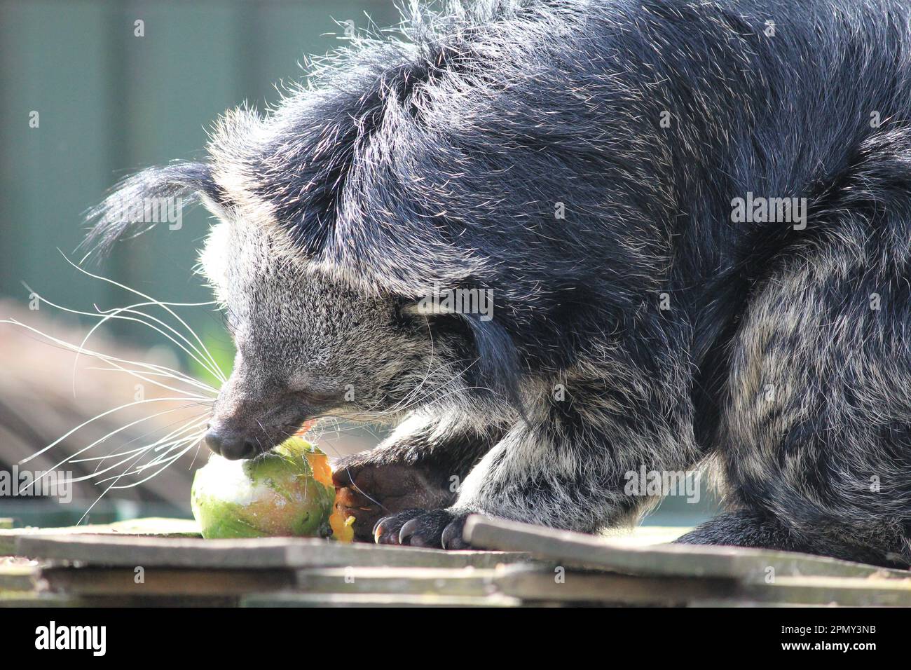 Yellowish beer hi-res stock photography and images - Alamy