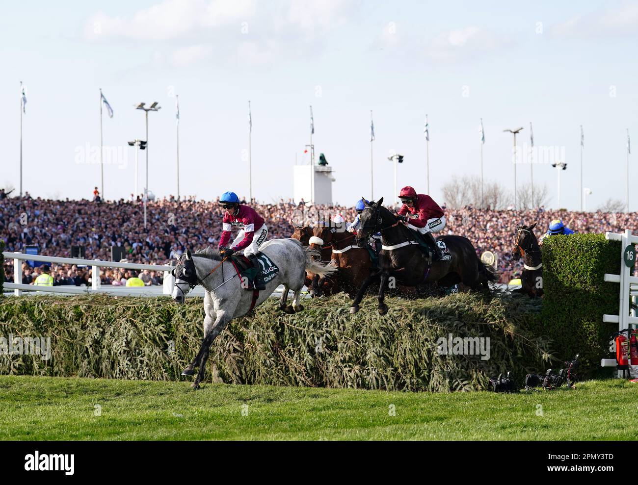Coko beach horse hi-res stock photography and images - Alamy