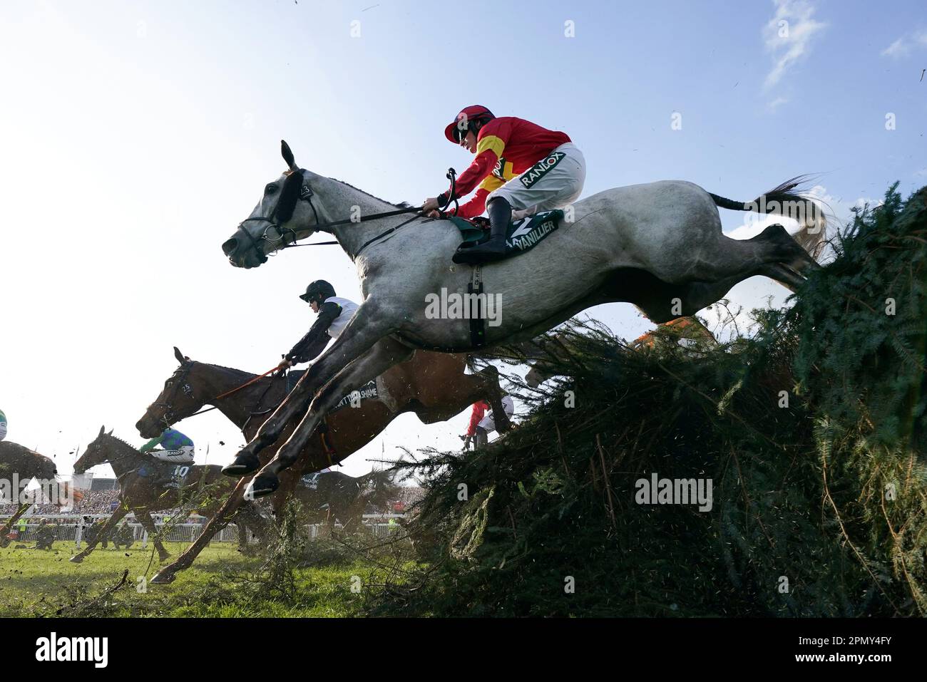 Vanillier grand national hi-res stock photography and images - Alamy