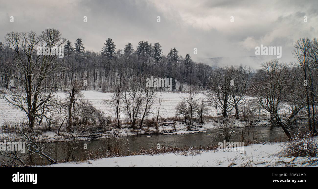 misty foggy morning along river landscape in late winter in rural ...