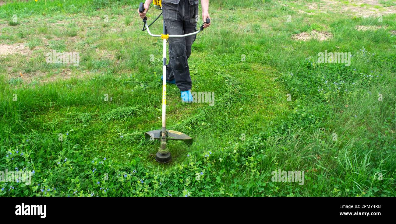 A male gardener mows the green grass of the lawn in the backyard with a ...