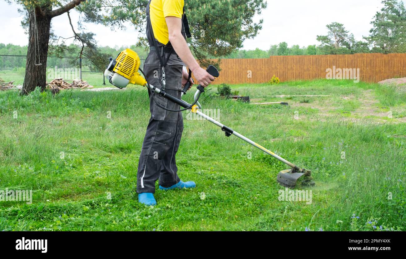 A male gardener mows the green grass of the lawn in the backyard with a ...